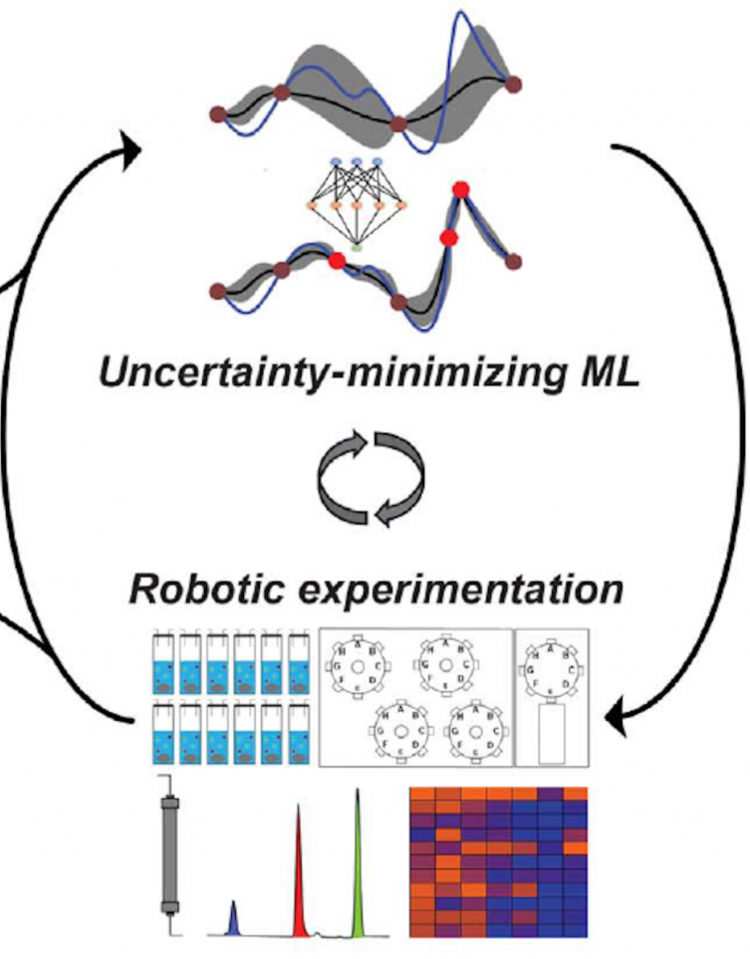 Research | Schroeder Group